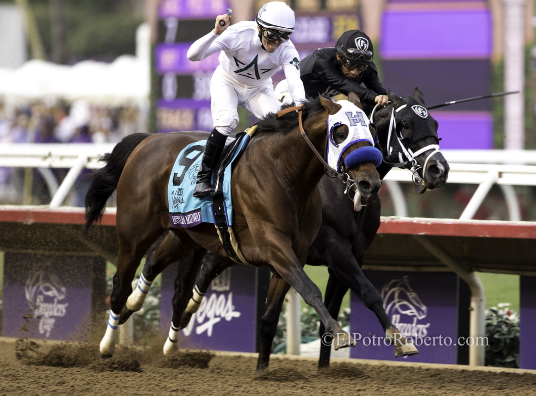 Breeders' Cup Las Vegas Dirt Mile - Battle of Midway - ElPotroRoberto.com
