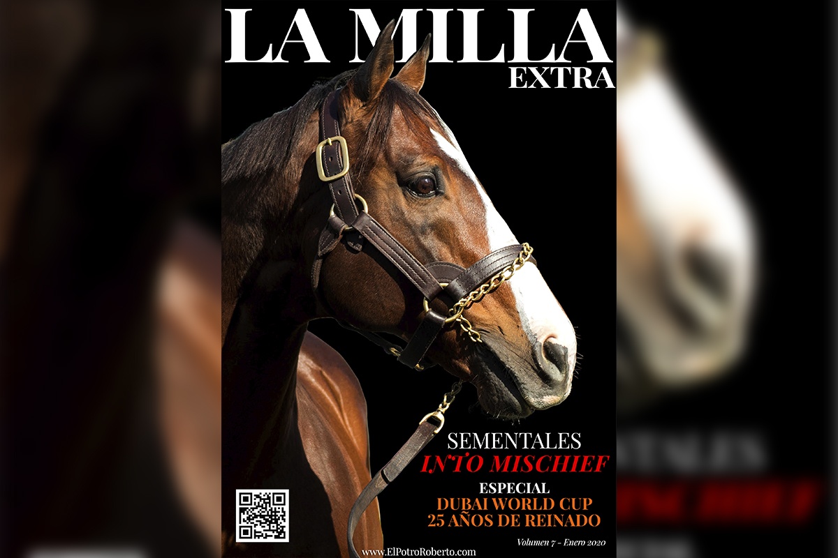 La Milla Extra – Vol 7. – Febrero 2020 - ElPotroRoberto.com