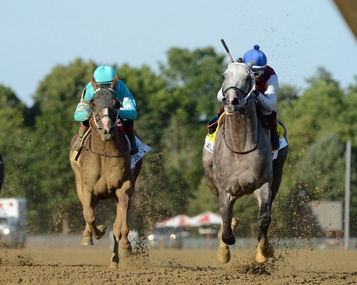 VOLATILE IMPONE SU VELOCIDAD PARA GANAR EL ALFRED G. VANDERBILT ...
