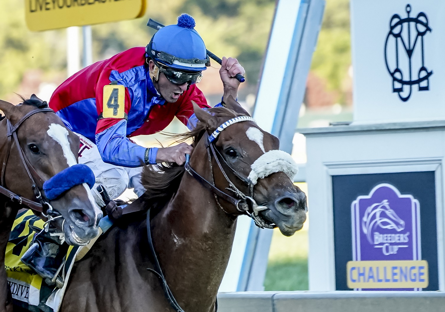 Improbable se mantiene en la cima y Swiss Skydiver aterriza en el Top ...