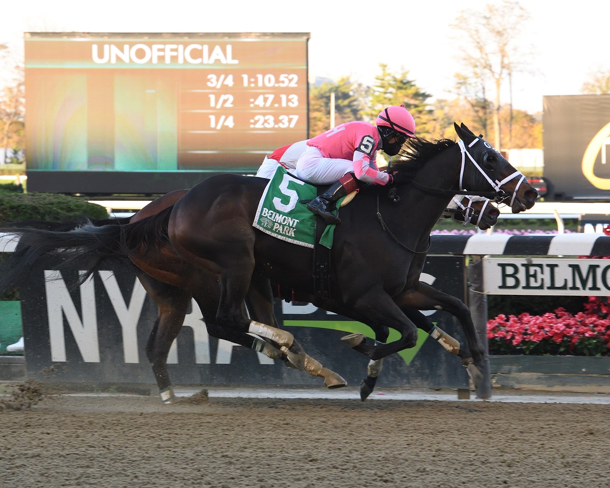 Majestic Dunhill gana el Bold Ruler Handicap G3 bajo excelente monta de ...