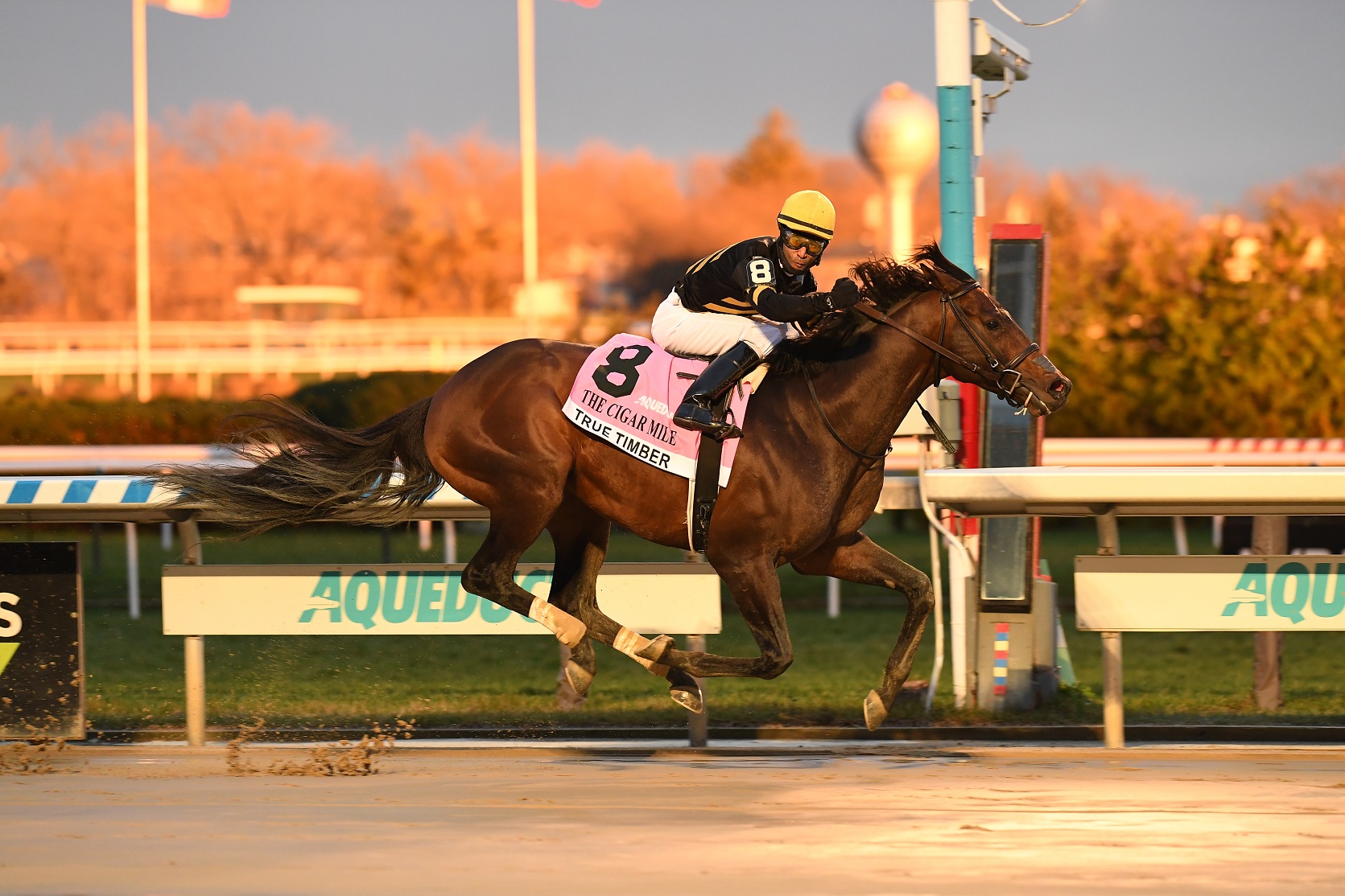 Kendrick Carmouche y Christophe Clement logran sus primeras ...