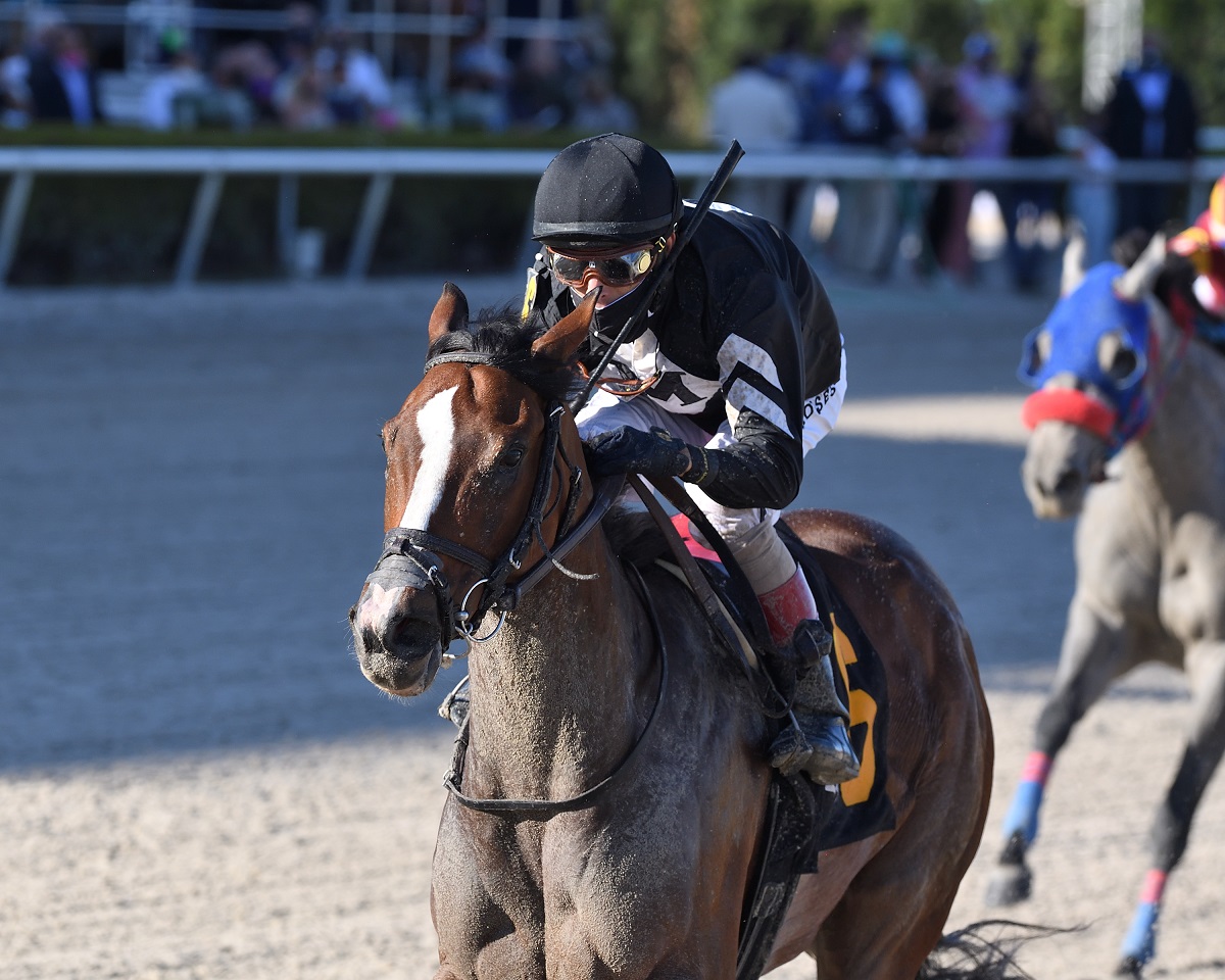 Pacific Gale sorprendió en el Inside Information S. G2 - ElPotroRoberto.com