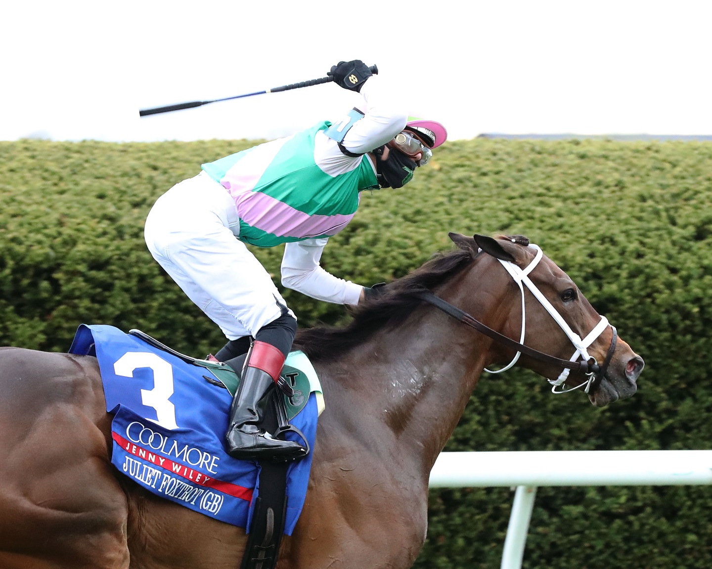 Juliet Foxtrot impuso su tren de carrera en el Jenny Wiley S. G1 en ...