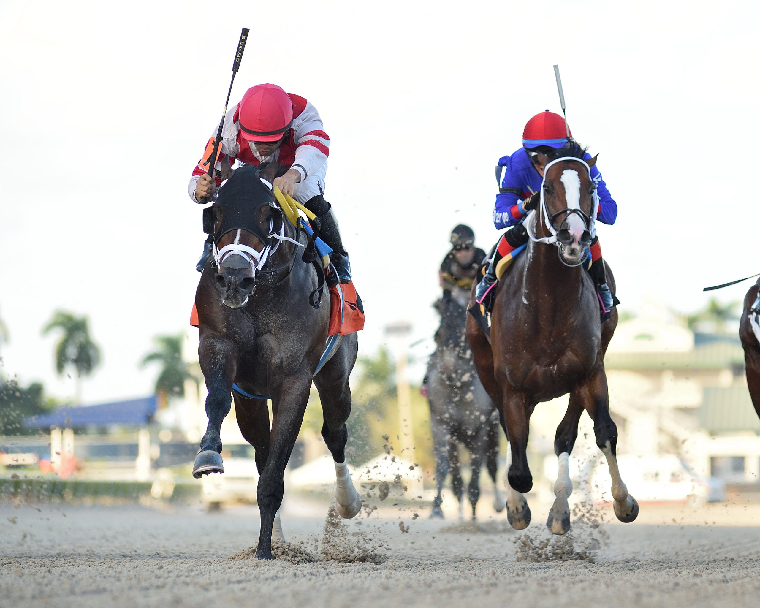 Officiating se superó para llevarse el Mr. Prospector Stakes G3 en ...