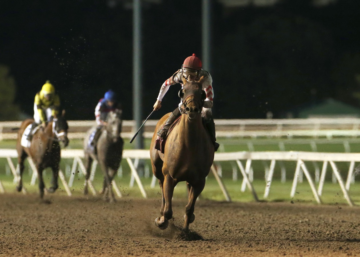 Rated R Superstar revalidó su victoria en el Governor's Cup Stakes ...