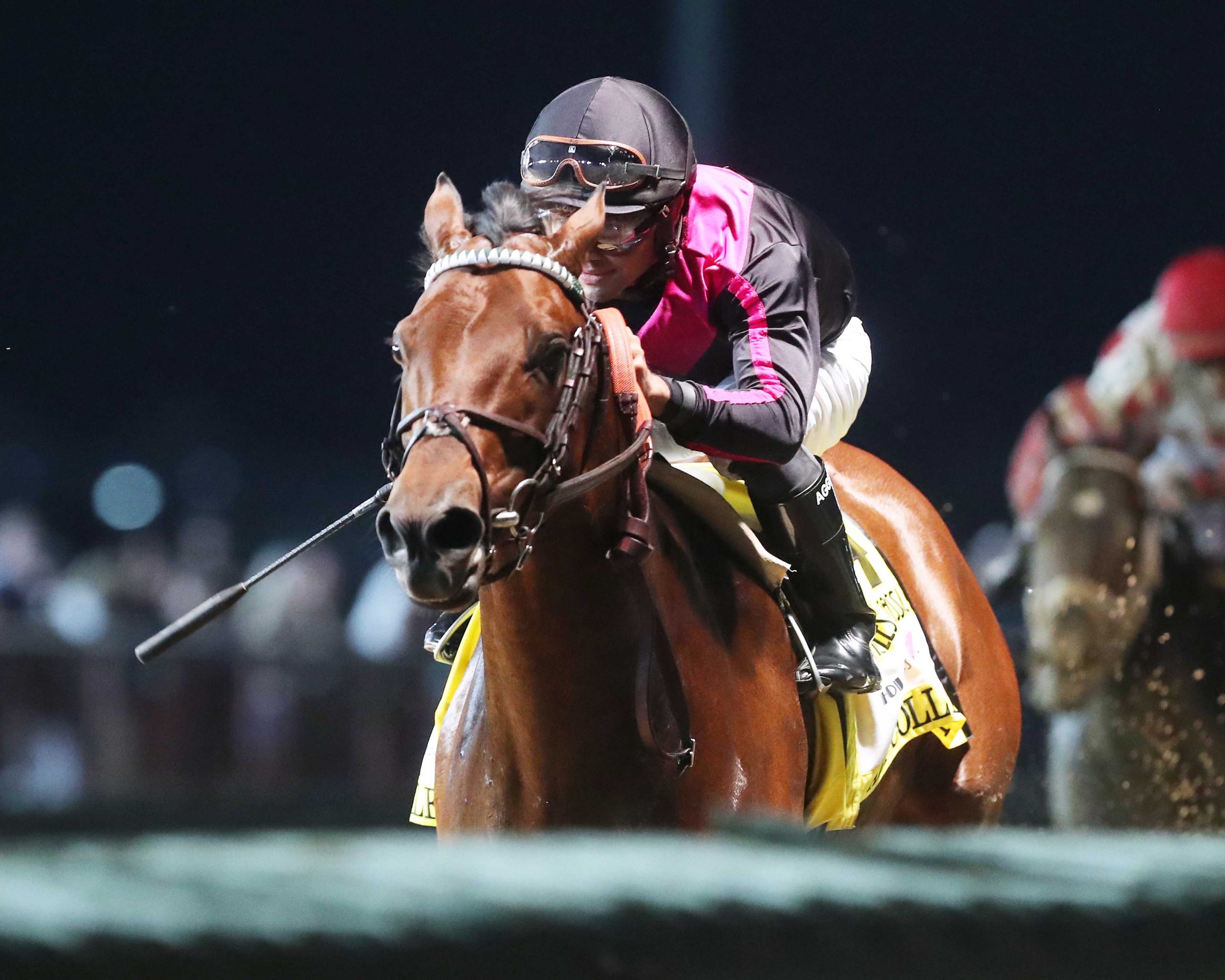 Art Collector defendió con éxito su título en el Charles Town Classic ...
