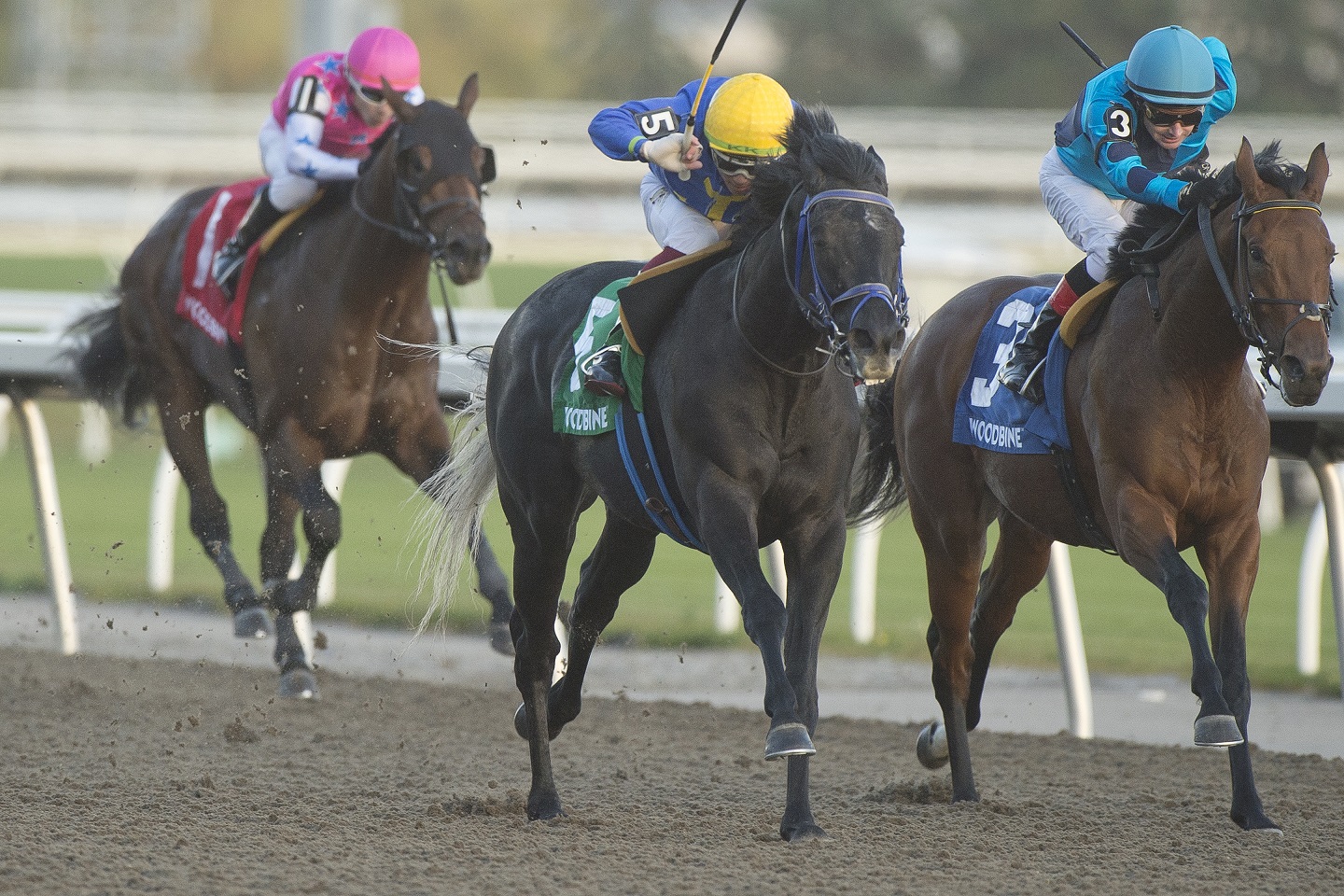 Ironstone logró reivindicarse con su triunfo en el Ontario Derby G3 ...