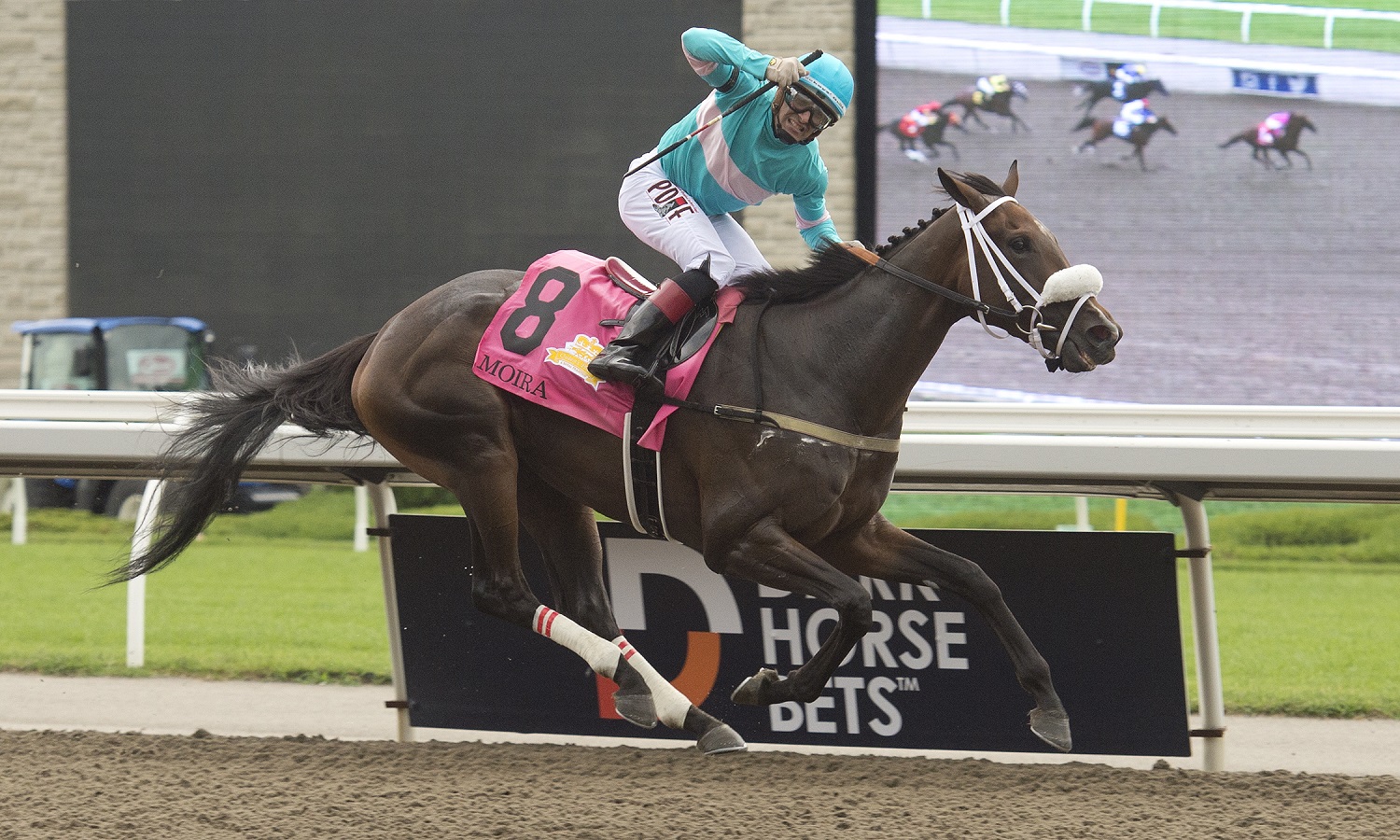 El King's Plate de 2023 marca el inicio de una nueva etapa en Woodbine ...