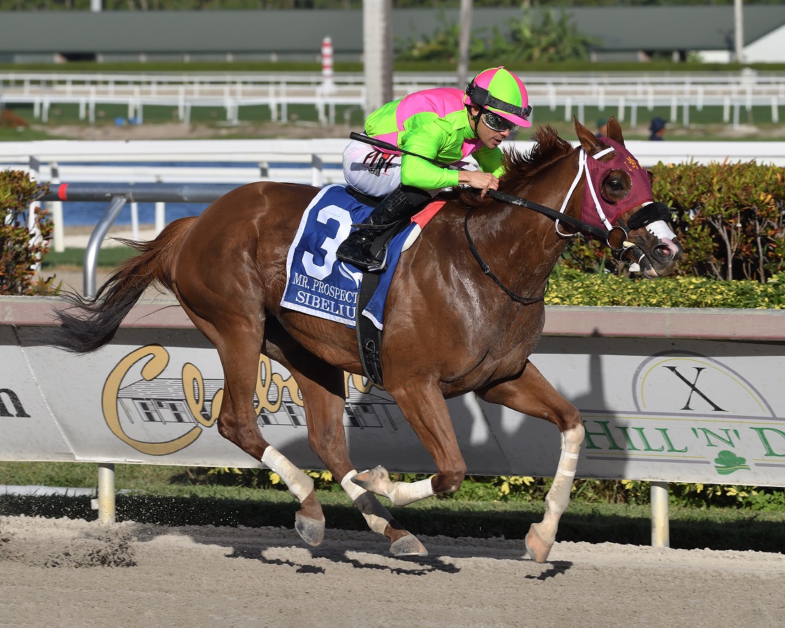 Sibelius ganó con autoridad el Mr. Prospector Stakes G3 ...