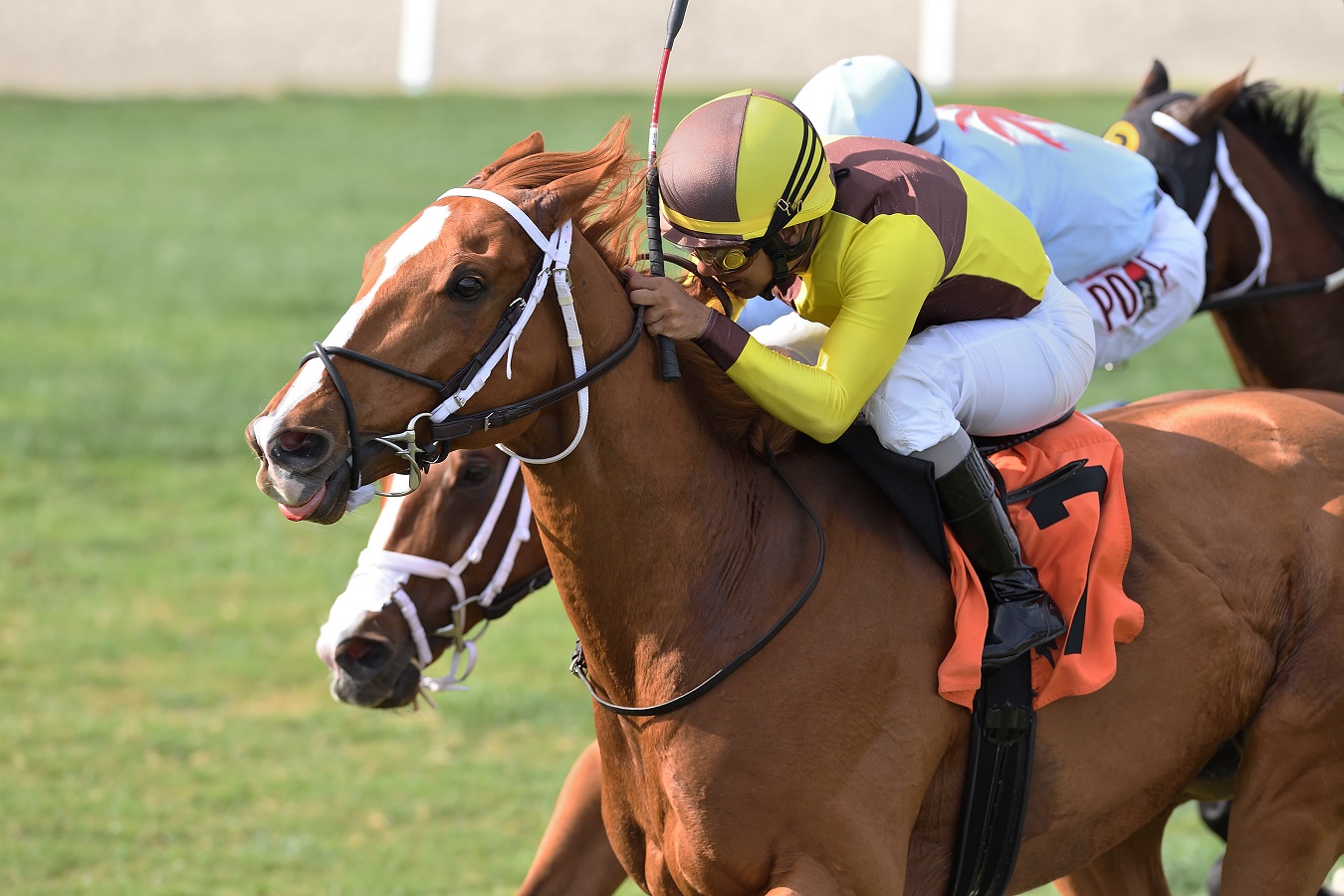 Roaring Forties impuso su velocidad para ganar el Sunshine Turf Stakes ...