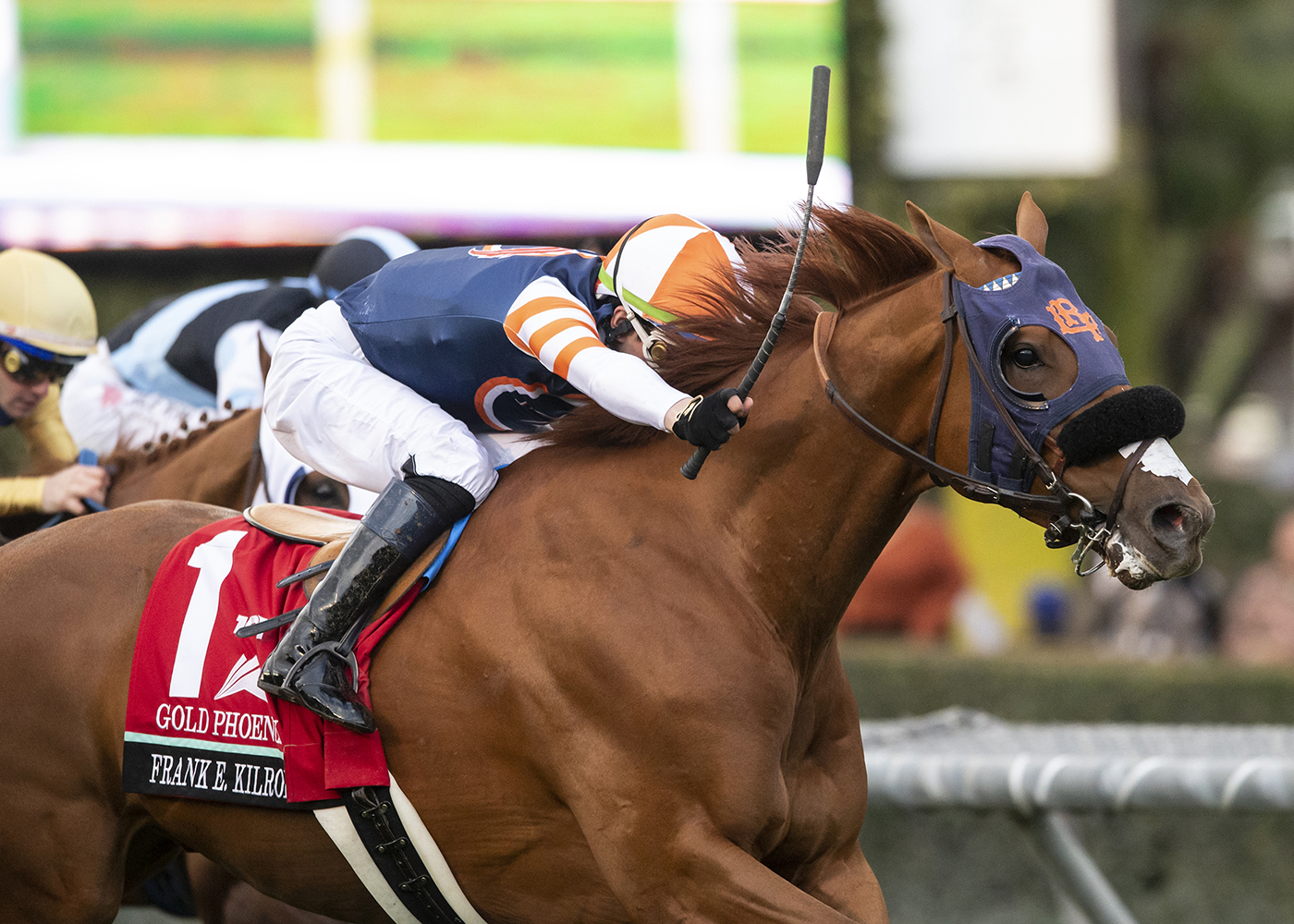 Gold Phoenix imponente en la Frank E. Kilroe Mile G1 - ElPotroRoberto.com