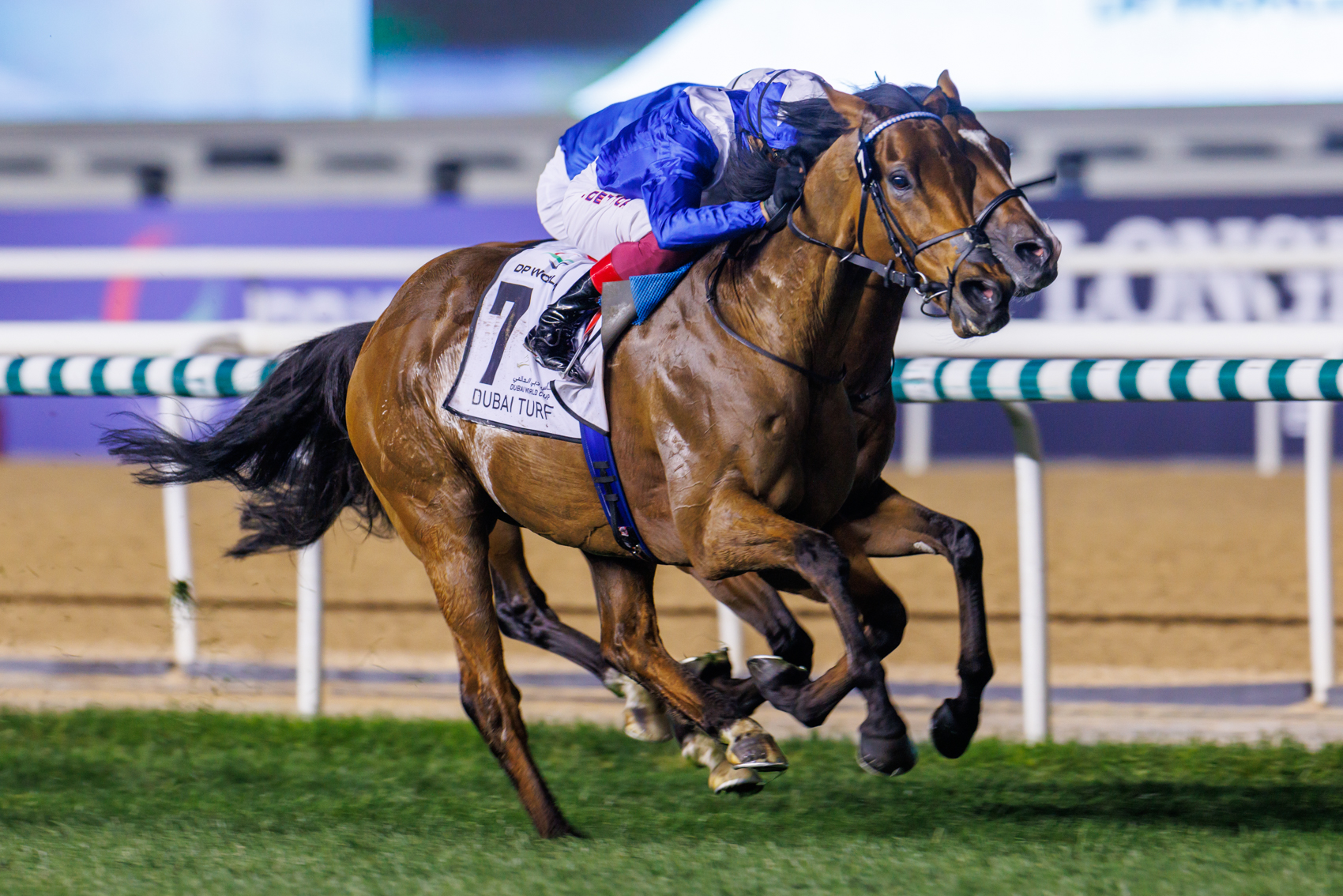 Lord North hizo historia en la Dubai Turf G1 - ElPotroRoberto.com