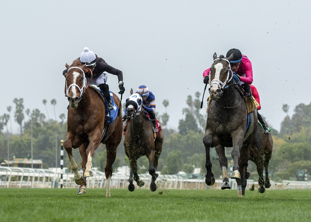 The Chosen Vron ganó por mínima diferencia el Sensational Star Stakes ...