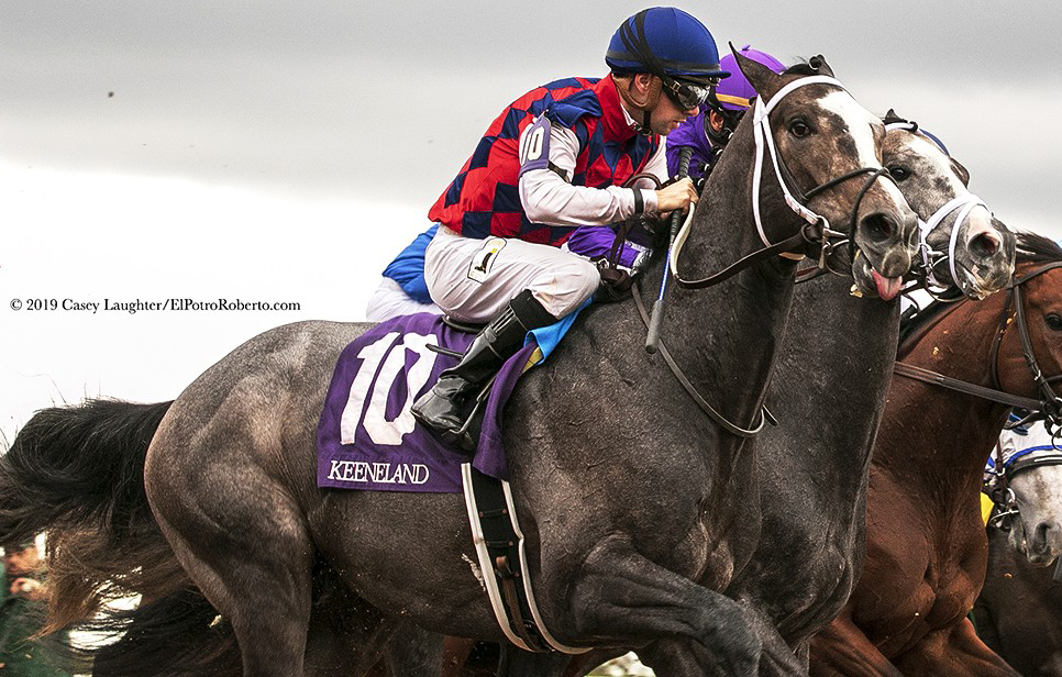 Keeneland Spring Meet 2023 - ElPotroRoberto.com