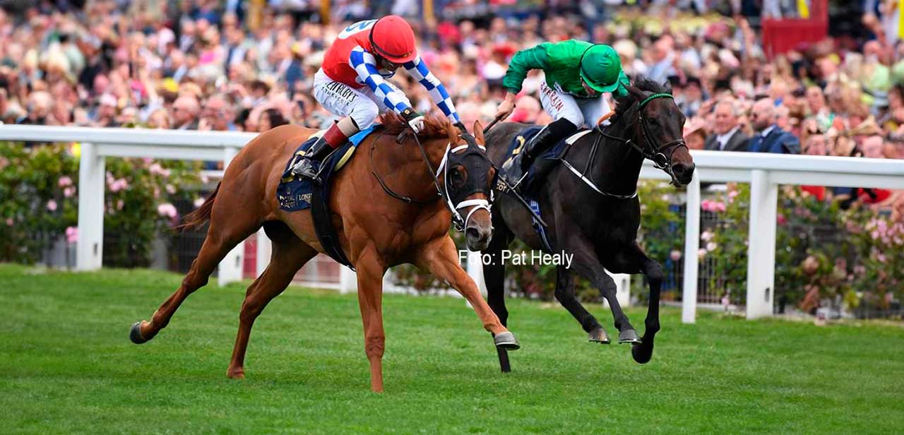 Royal Ascot 2023 - ElPotroRoberto.com