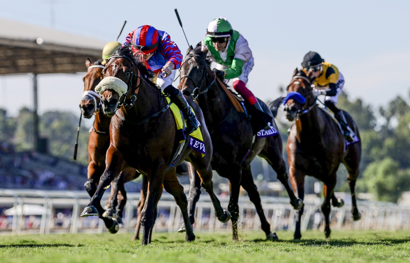 Big Evs fue el más veloz del oeste en la Breeders' Cup Juvenile Turf Sprint G1T - ElPotroRoberto.com