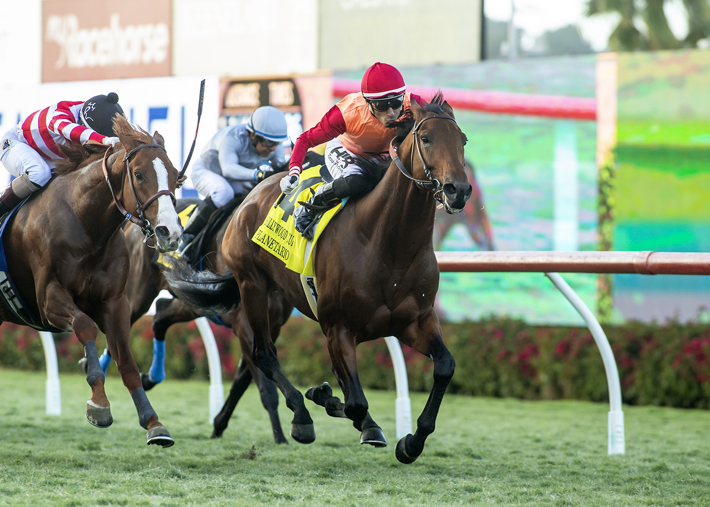 Planetario sacó la mejor parte en el Hollywood Turf Cup Stakes G2T - ElPotroRoberto.com