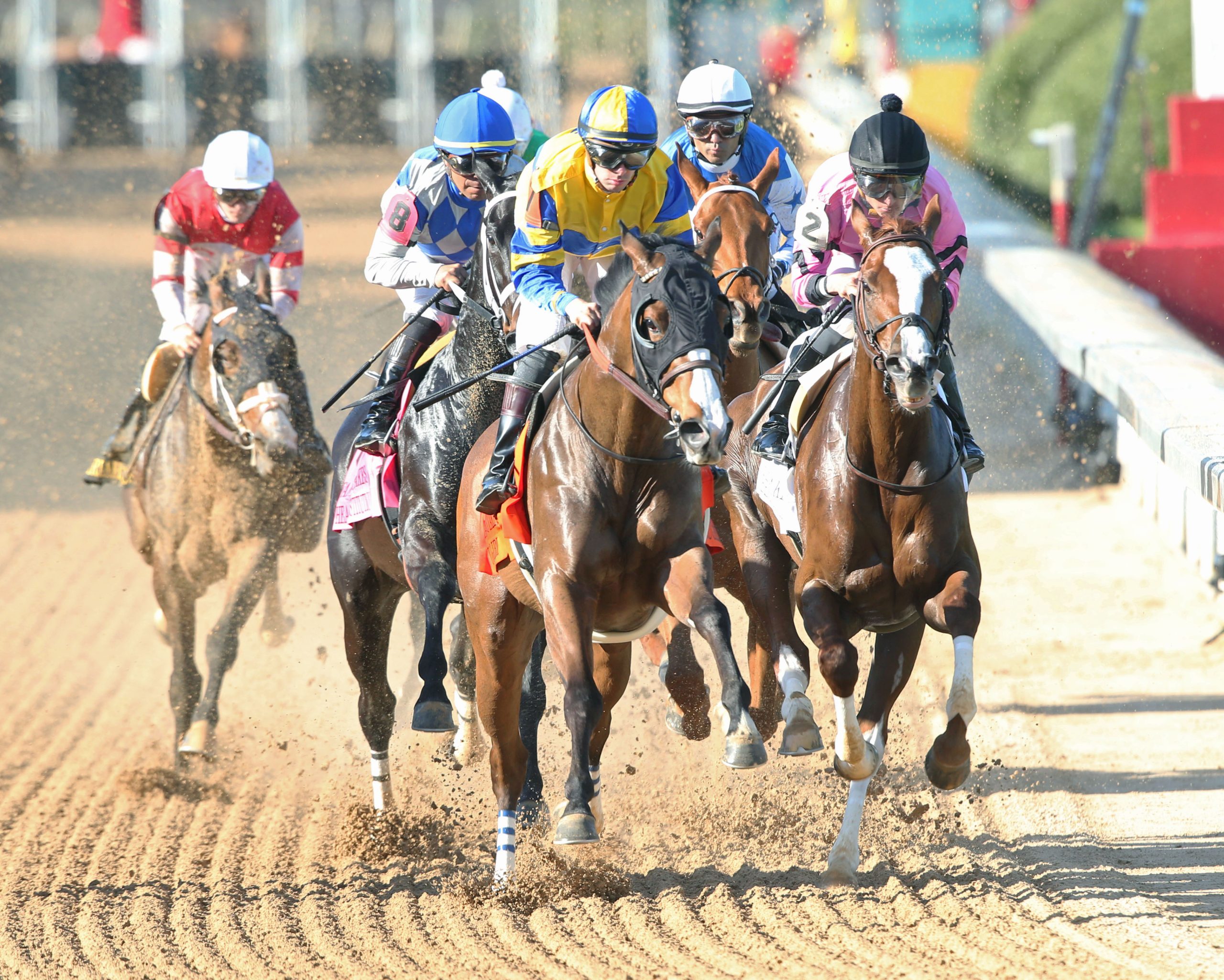 Las carreras de 100 puntos al ganador del Camino al Kentucky Derby 150 ...