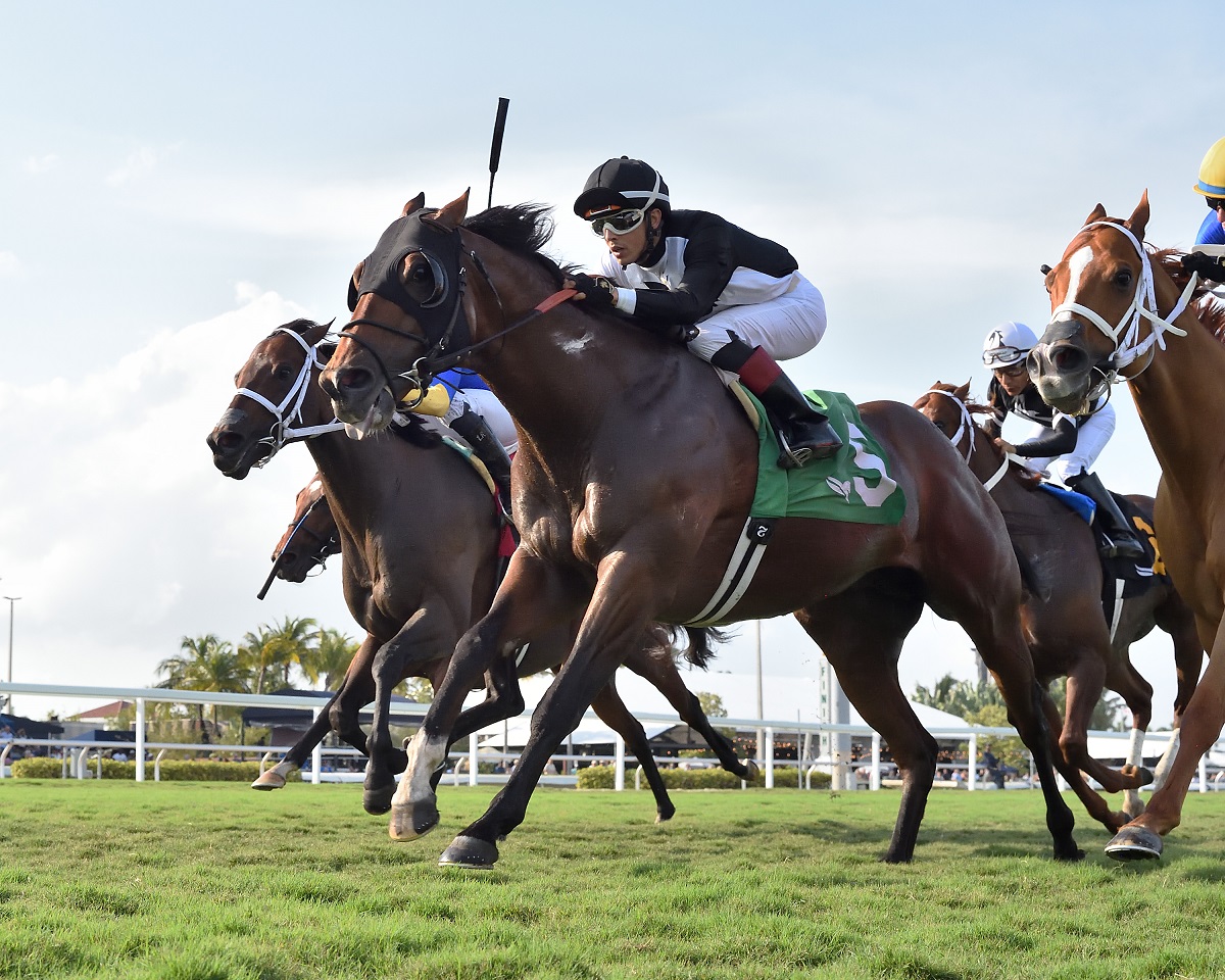 Coppola estuvo sensacional en el Silks Run Stakes - ElPotroRoberto.com