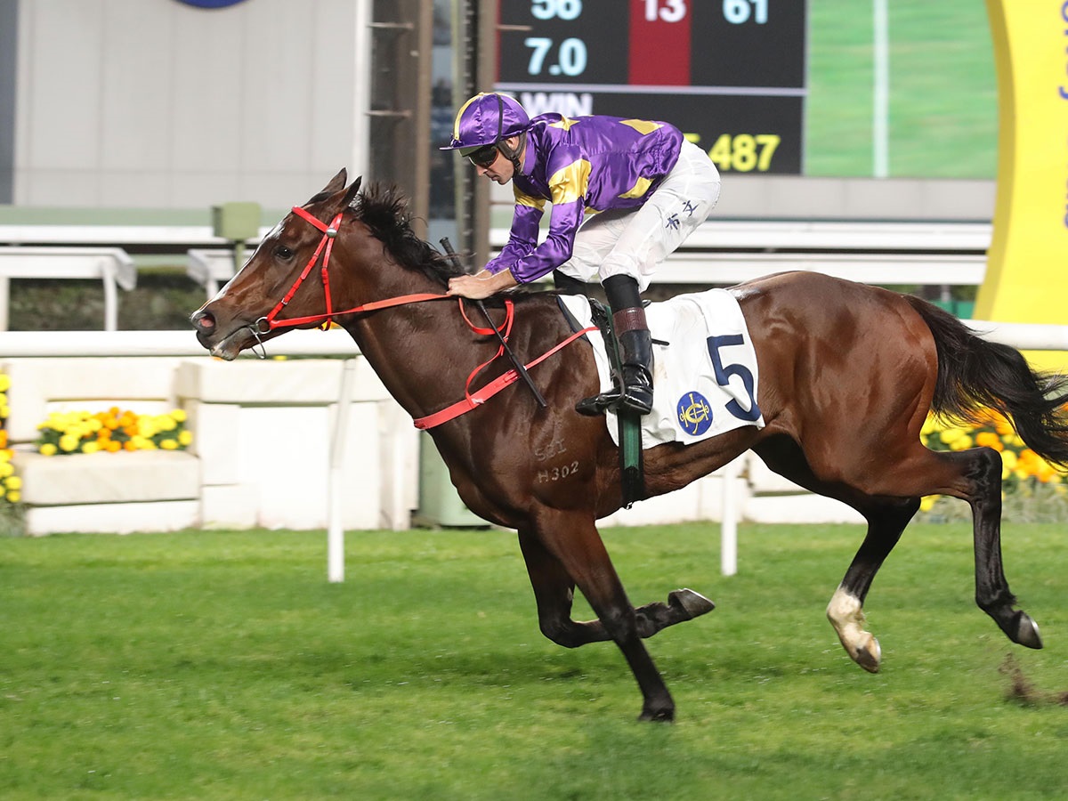 Helios Express a la conquista del Hong Kong Derby - ElPotroRoberto.com