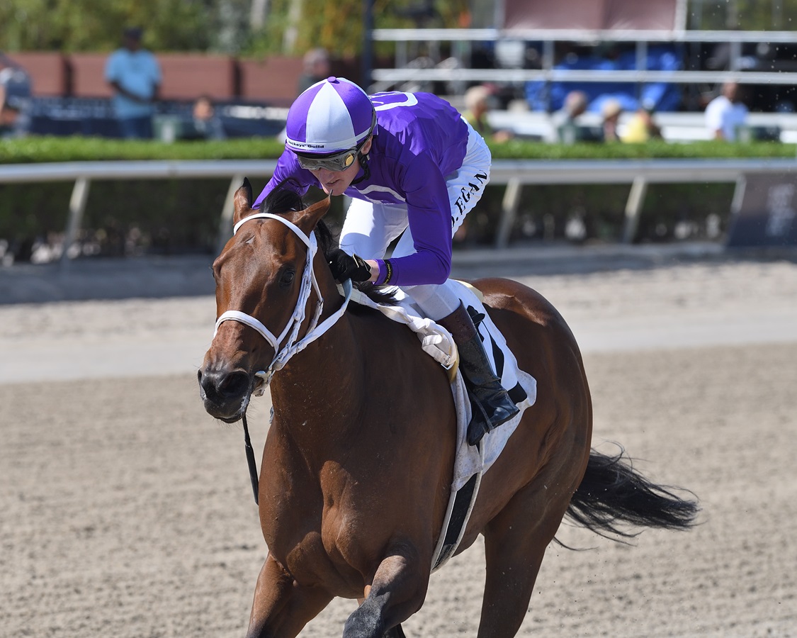 Launch resultó la mejor del Any Limit Stakes - ElPotroRoberto.com