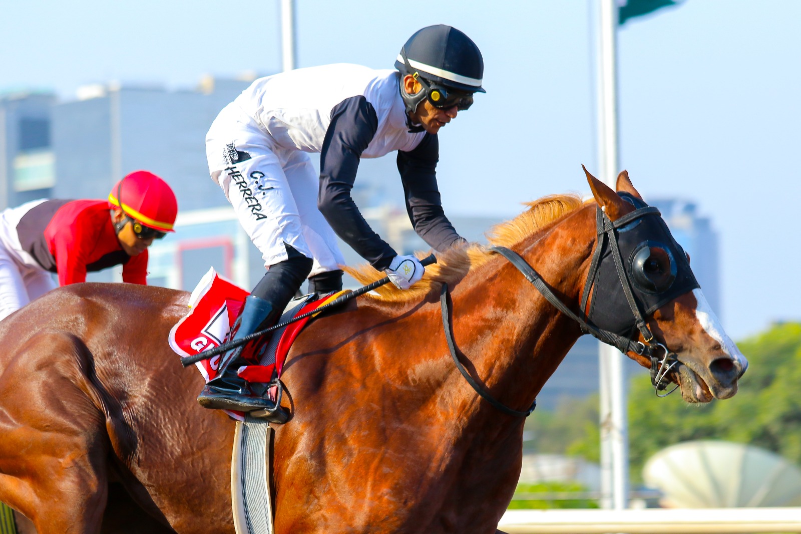 Este domingo será la fiesta del Gran Premio Latinoamericano ...