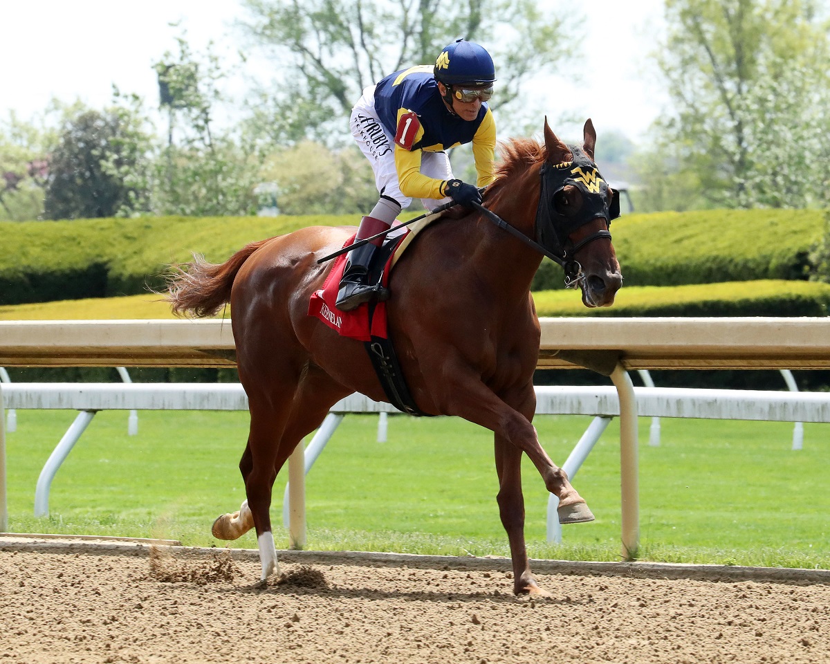 La flotilla de Wesley Ward que competirá en Royal Ascot ...