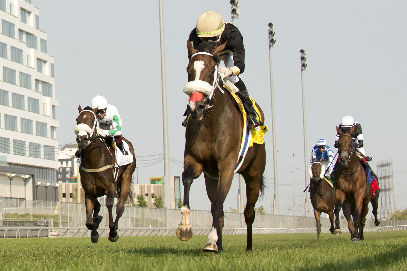 Dominio absoluto de Full Count Felicia en el E.P.Taylor Stakes G1T ...