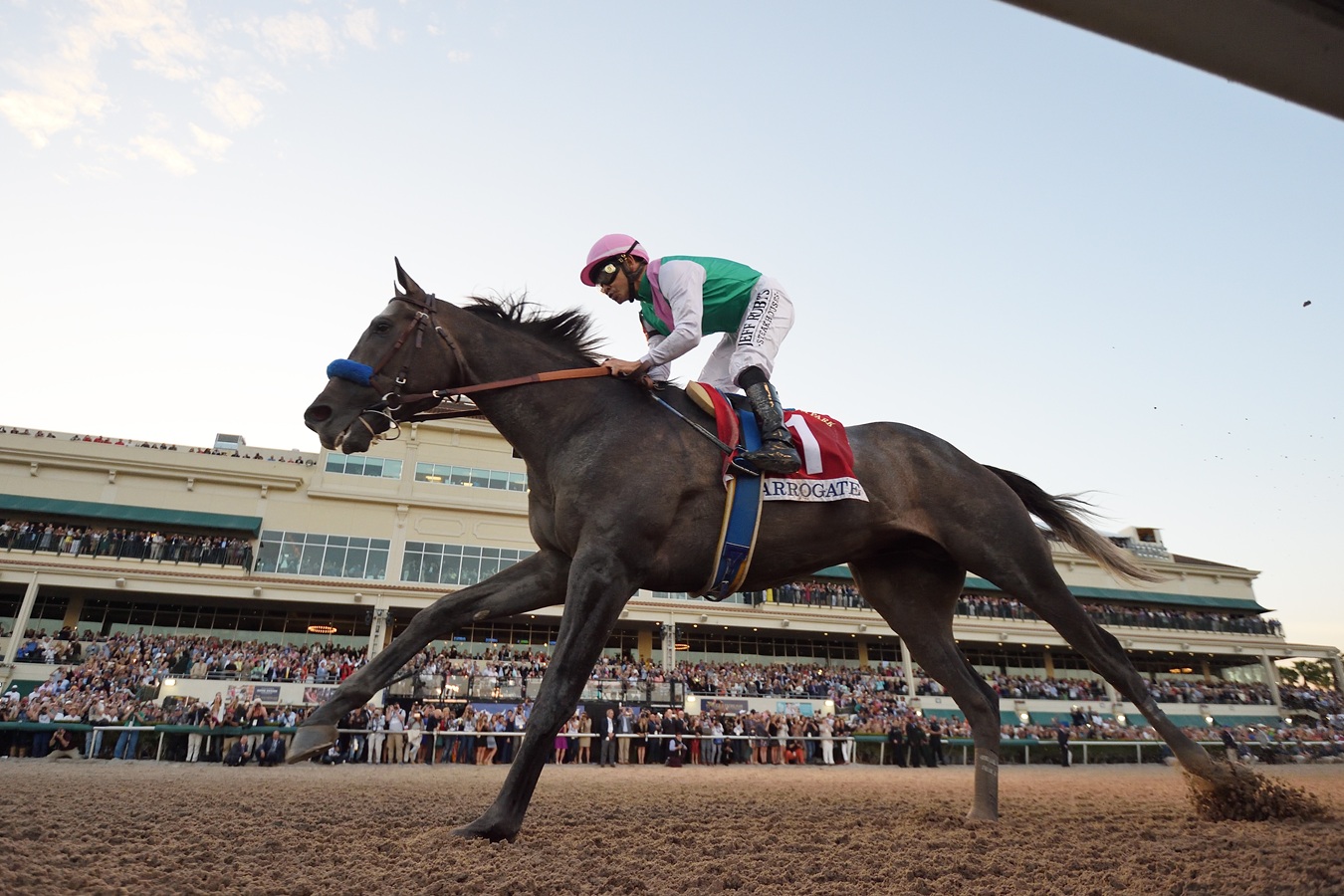 Repaso estadístico a la historia de la Pegasus World Cup Invitational (I) - ElPotroRoberto.com