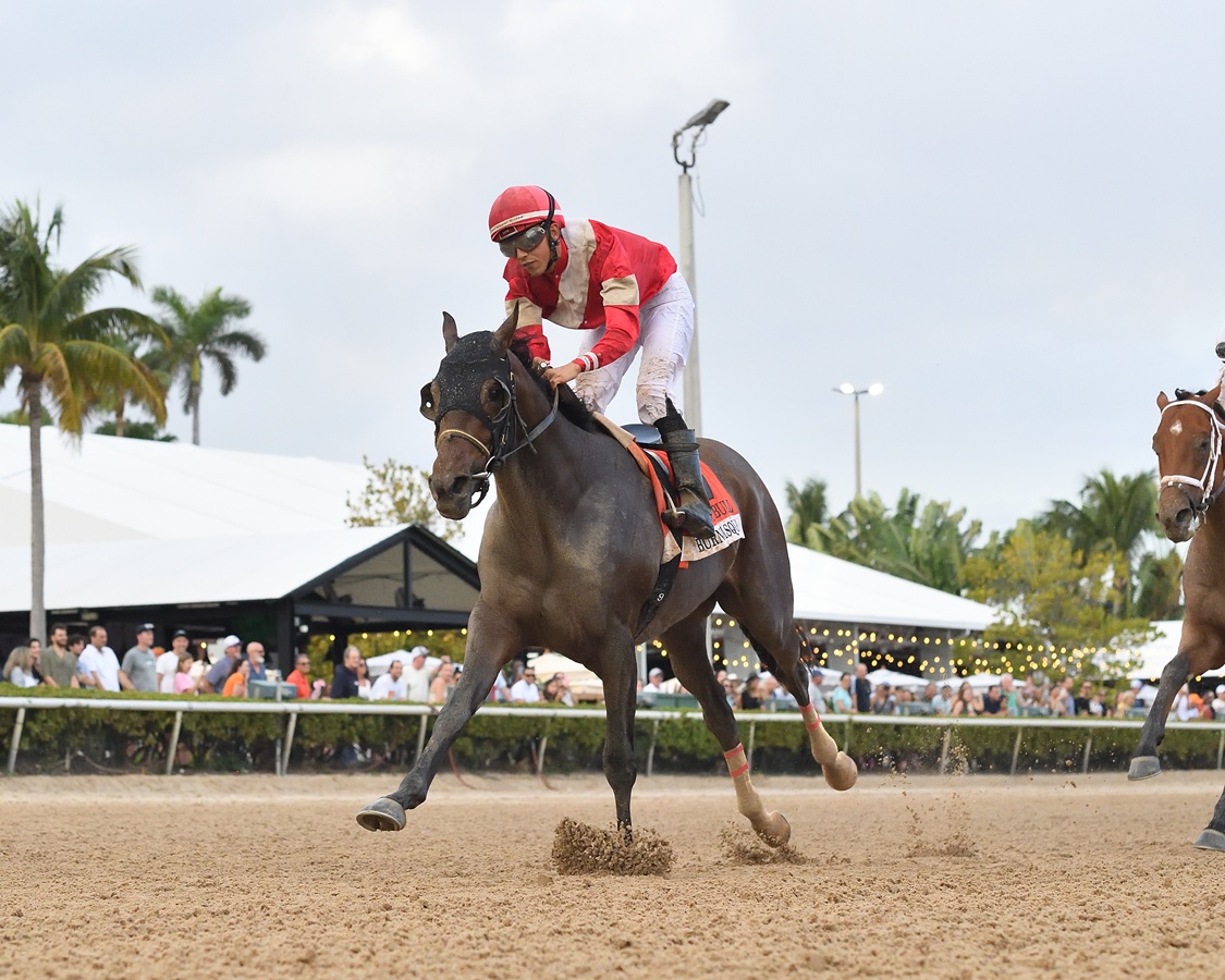 Burnham Square con el reto de triunfar en el Fountain of Youth G2 ...