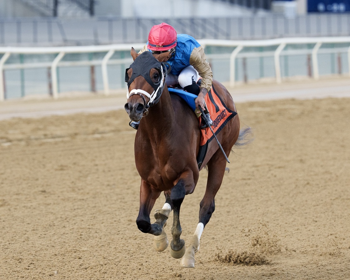 El sorpresivo Flood Zone aplastó a sus oponentes en el Gotham G3 ...