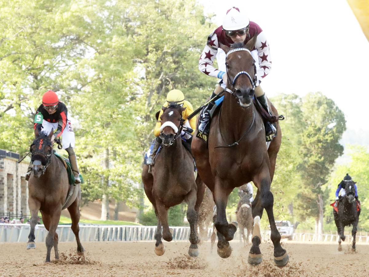 La campeona Thorpedo Anna máxima candidata al triunfo en La Troienne G1 ...