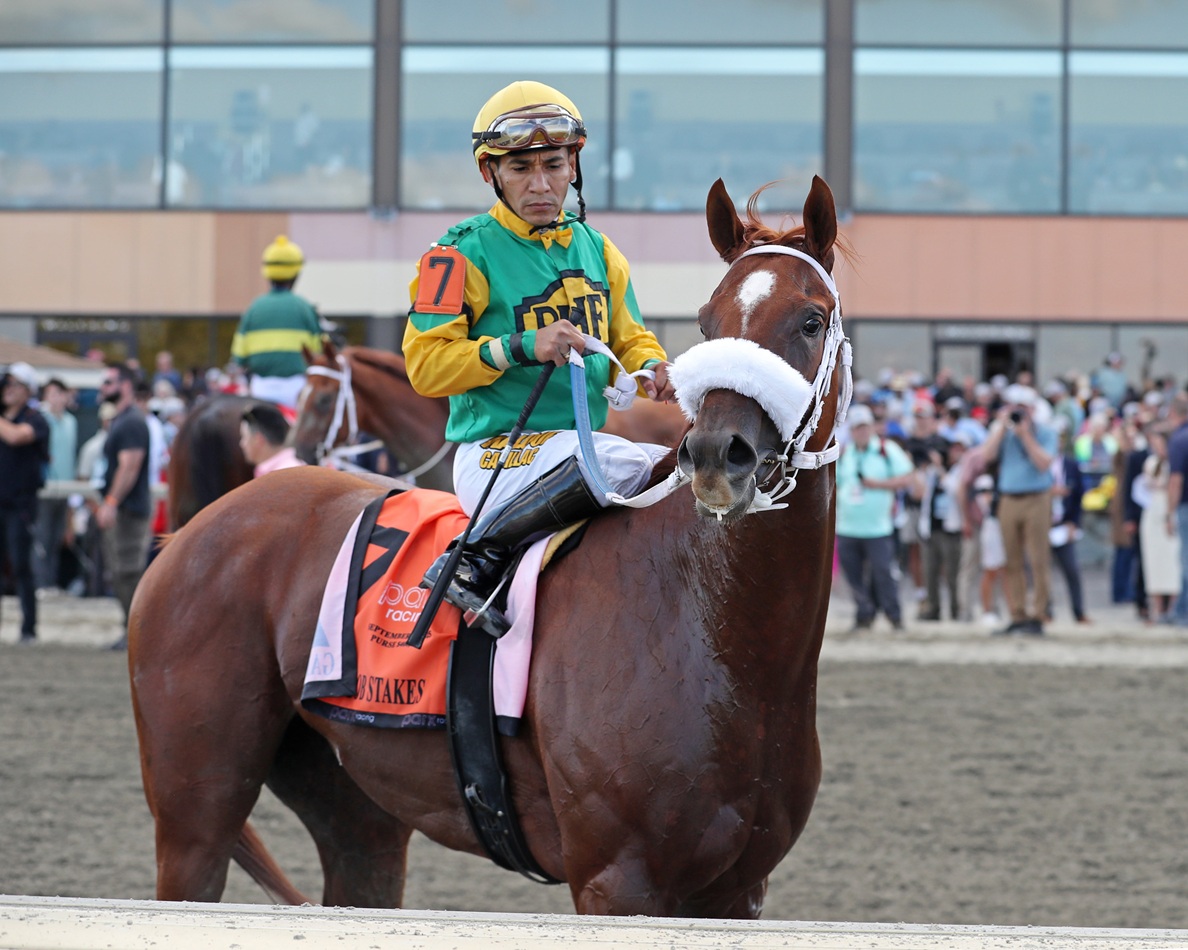 Jockeys’ Guild respalda a Paco López ante la decisión tomada por HISA ...